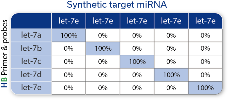 HB miR Multi Assay Kit™ - HeimBiotek